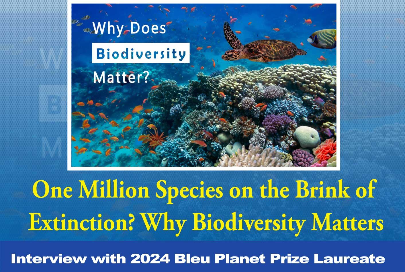 One Million Species on the Brink of Extinction? Why Biodiversity Matters